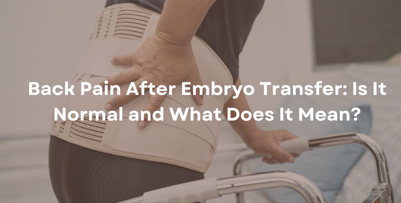 Back Pain After Embryo Transfer: Normal Sign or Red Flag?