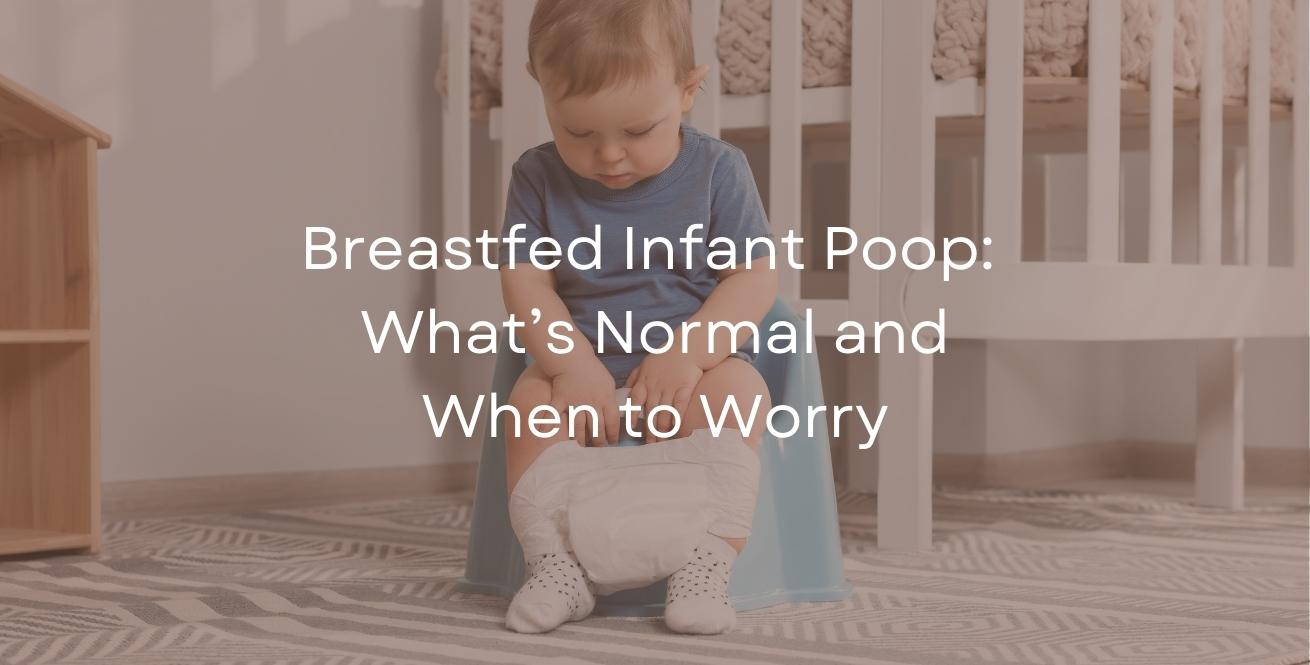 Breastfed Infant Poop: What’s Normal and When to Worry